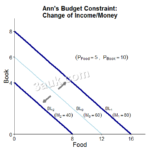 Understanding Indifference Curves and Budget Lines: Exploring Consumer ...
