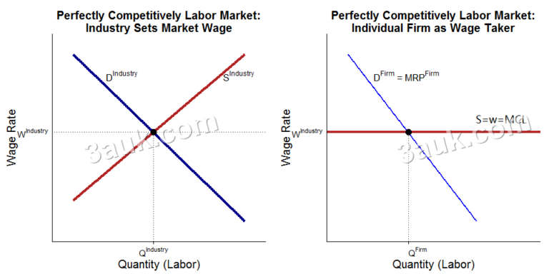 Labour market: Wage Determination in Perfectly Competitive Labour ...